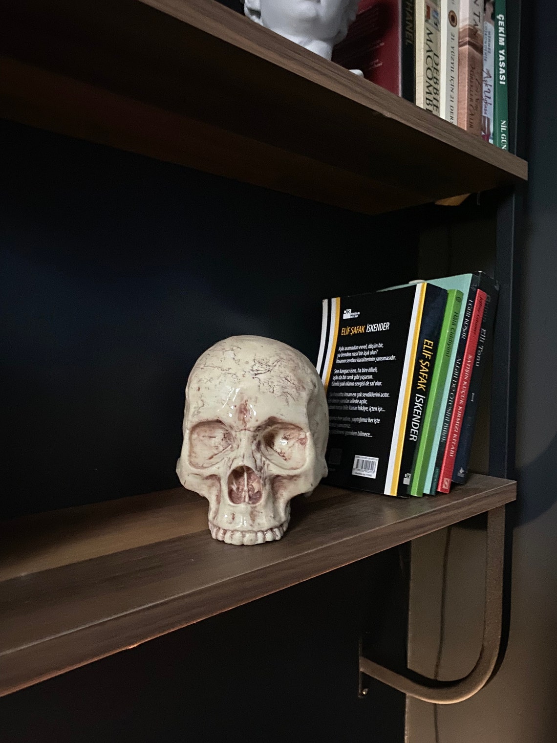 Skull Night Light Table Lamp Human Anatomical Skull Light - Etsy