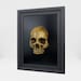 Filigree Frame Skull Gallery Wall Art, Gold Framed Skull, 3D Realistic ...