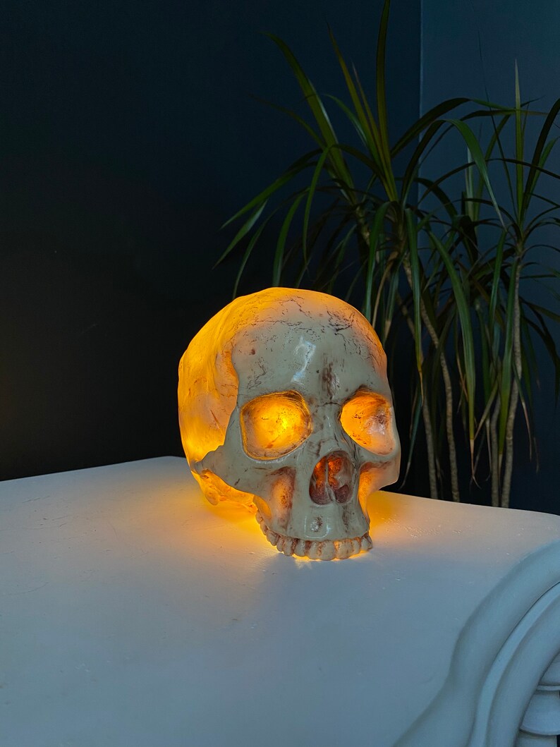 Skull Night Light Table Lamp Human Anatomical Skull Light - Etsy
