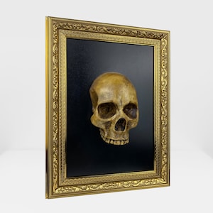 Filigree Frame Skull Gallery Wall Art, Gold Framed Skull, 3D Realistic ...