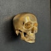 Gold Skull Drawer Pull – Gothic Cabinet Knob, Skeleton Hardware ...