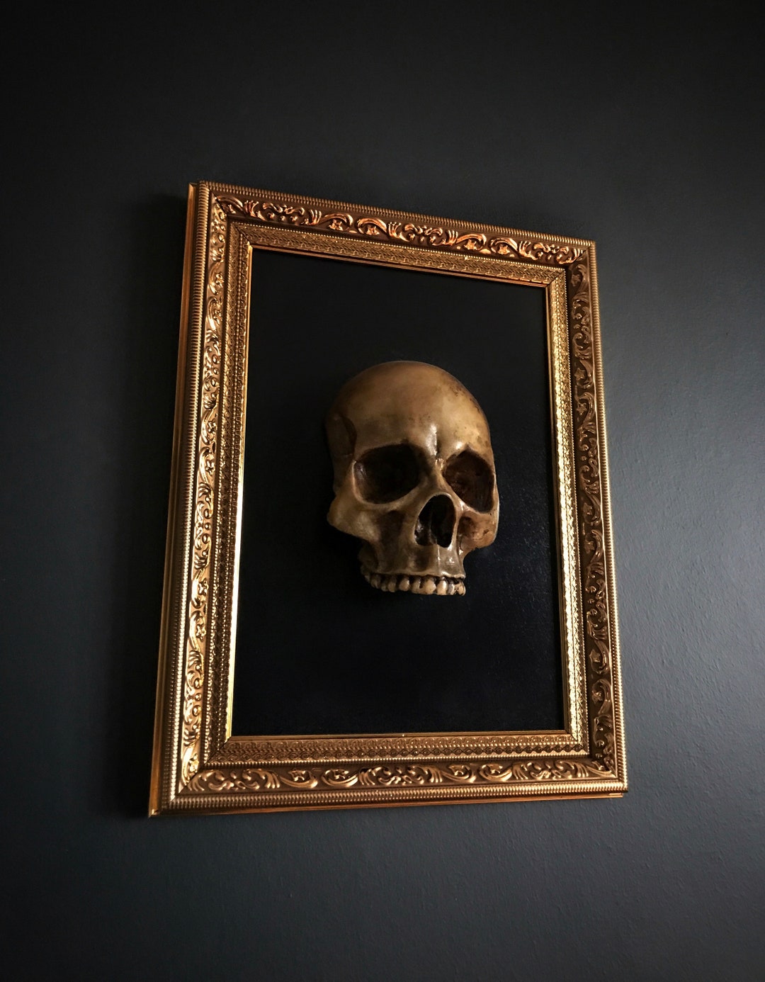 Filigree Frame Skull Gallery Wall Art, Gold Framed Skull, 3D Realistic ...