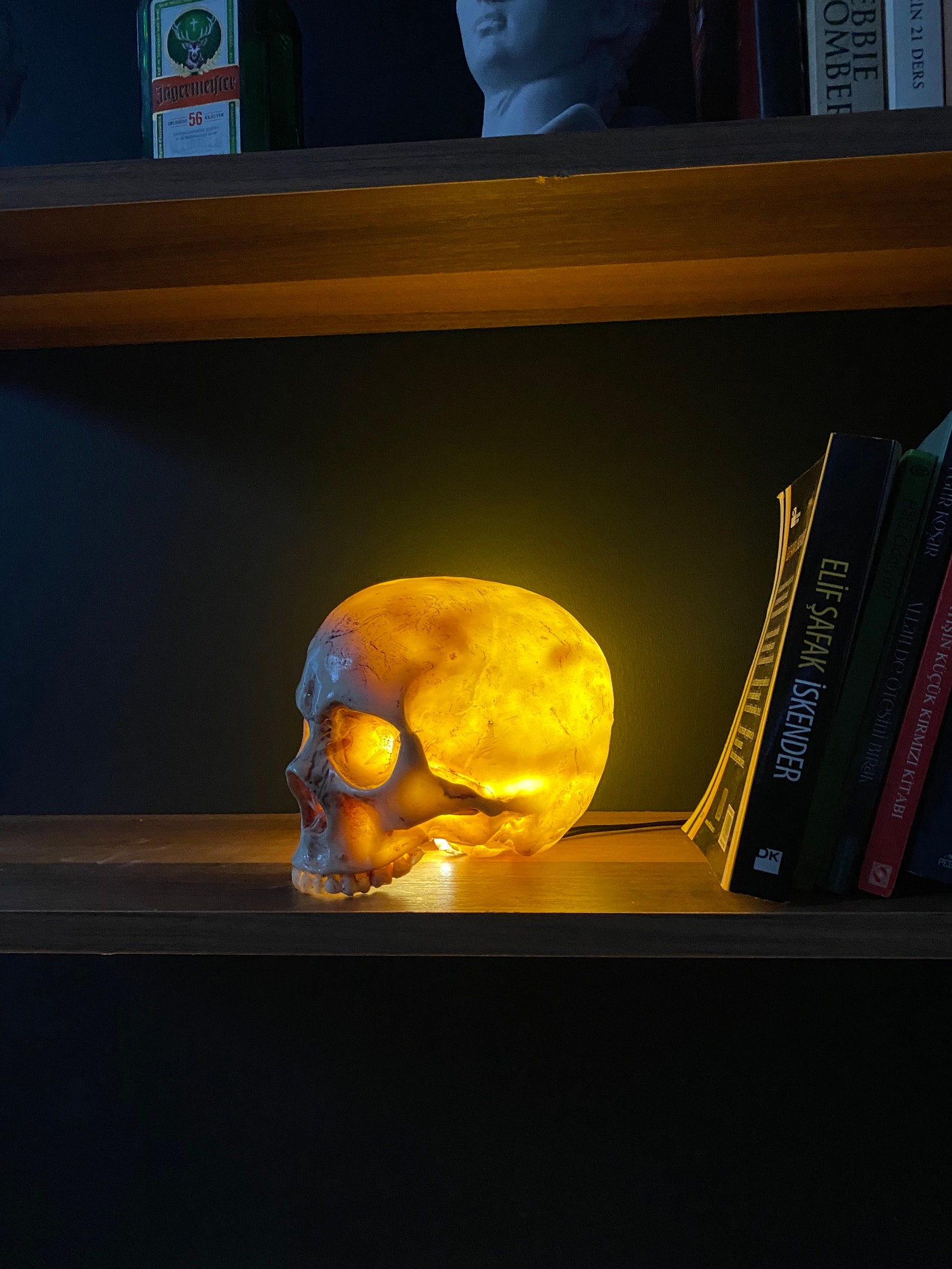 Skull Night Light Table Lamp Human Anatomical Skull Light - Etsy