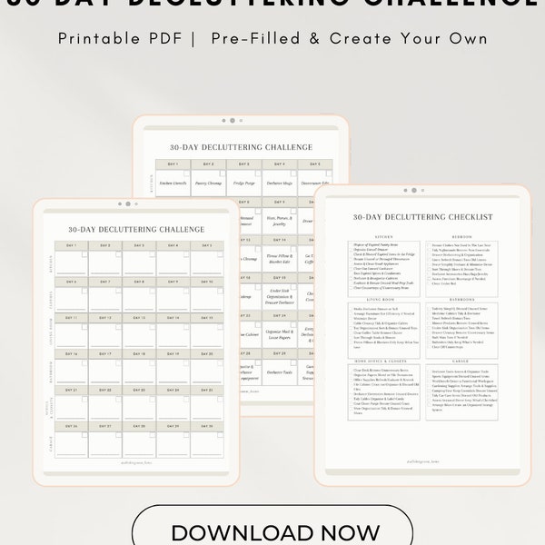 Declutter Planner - Etsy