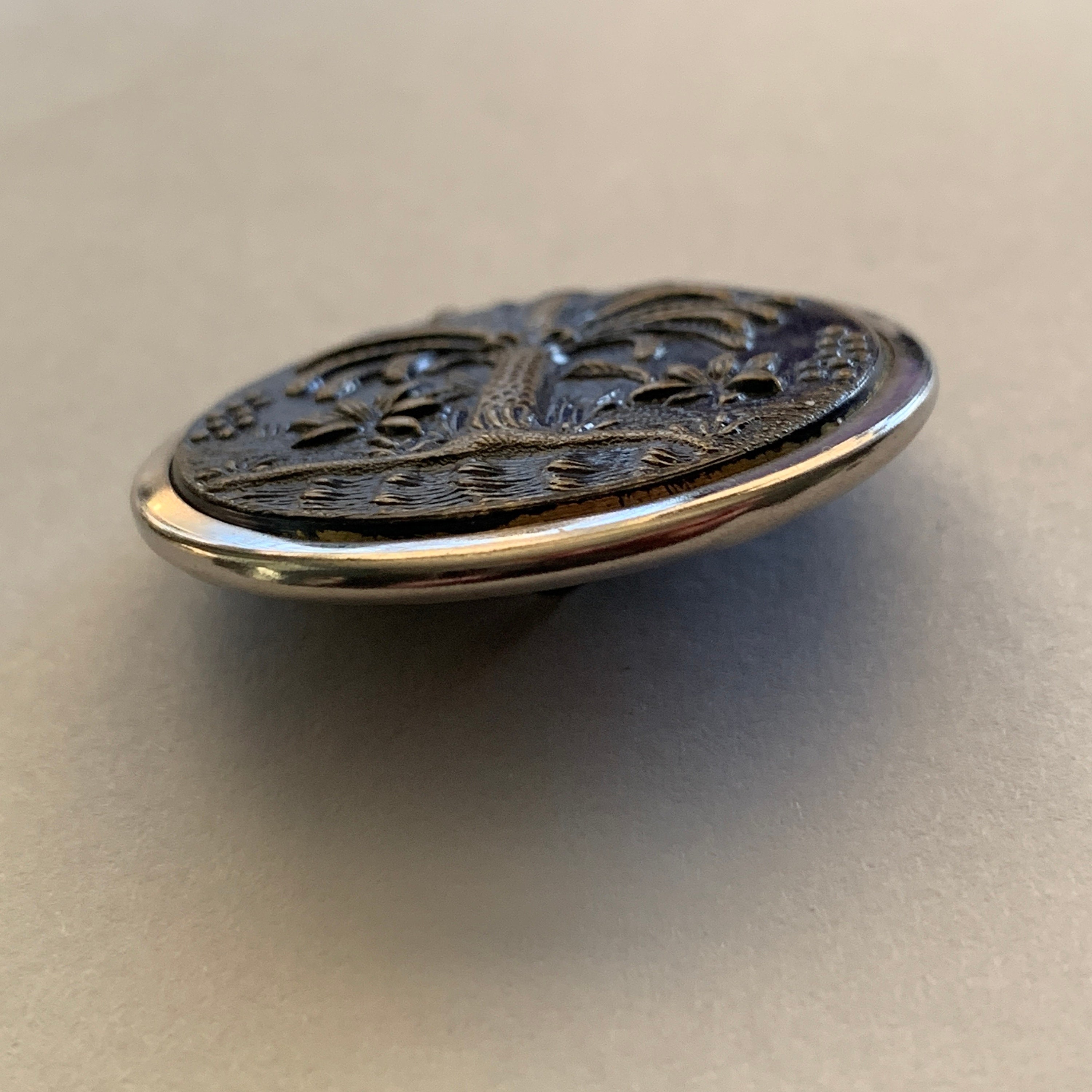 Large Antique Metal Picture Button Prehistoric Tree Fern Button 1 3/8 ...