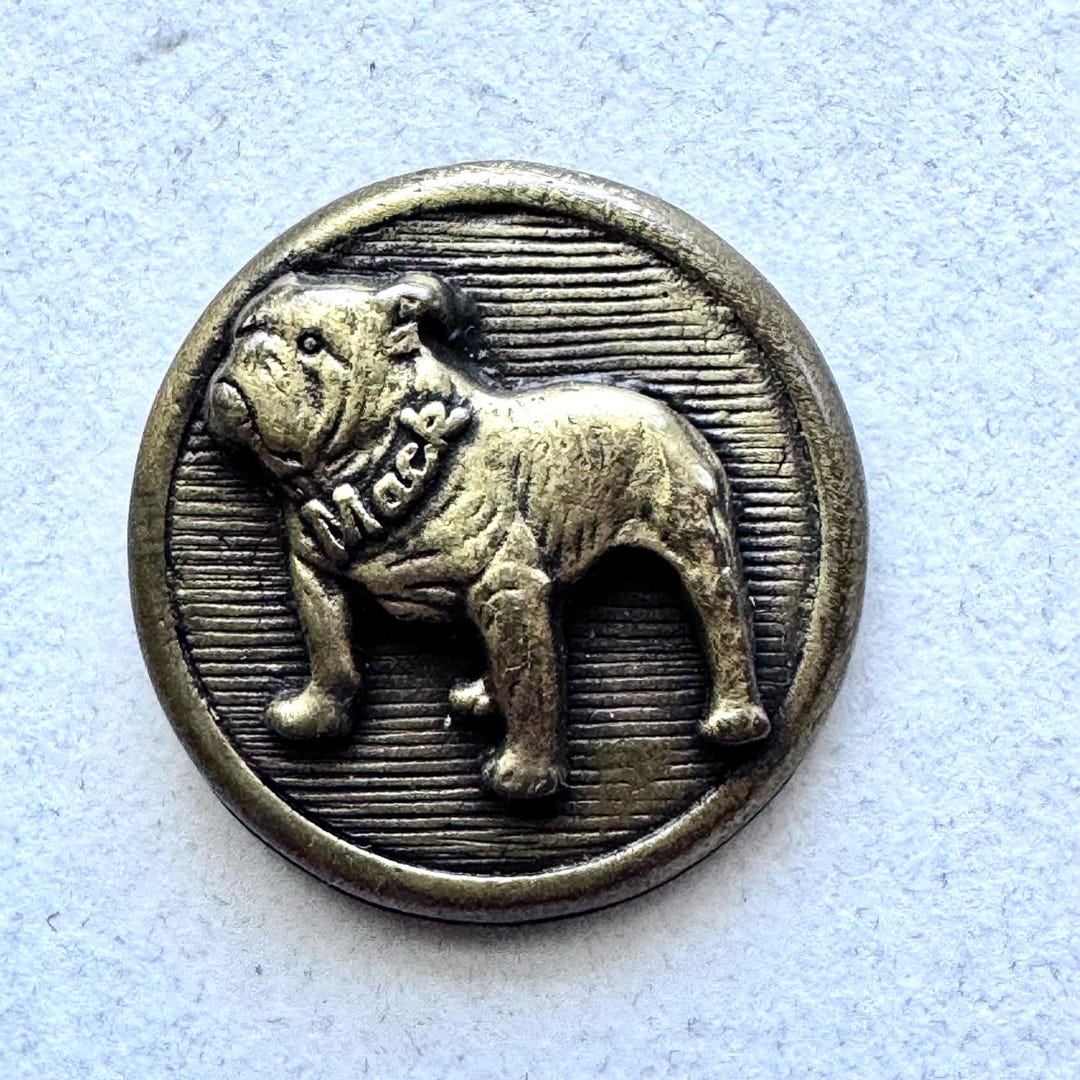 Vintage Mack Bulldog Button, Brass-toned Metal, Raised Dog Design ...