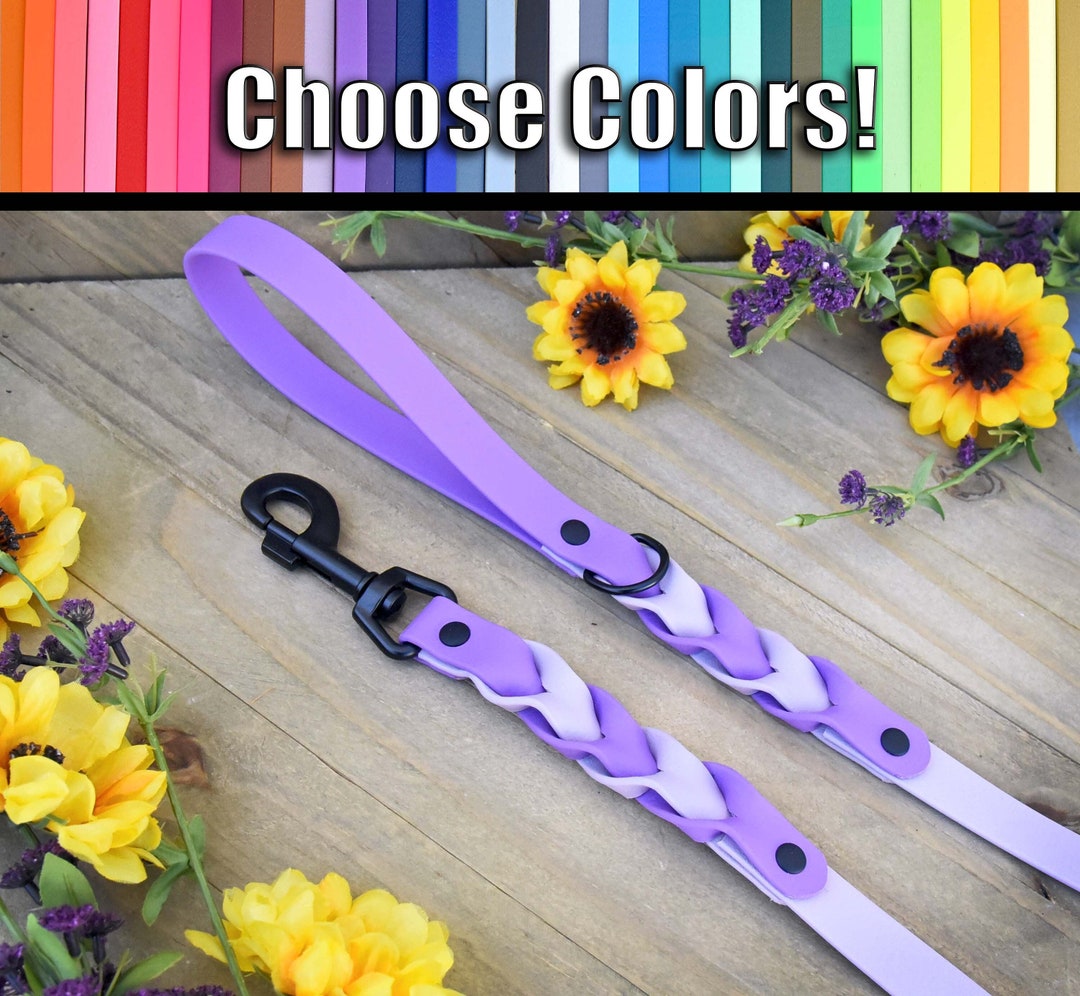 Custom Long Double Braided Biothane® Leash 3/4'' - Etsy