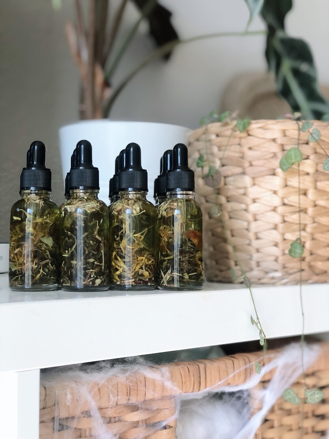 Spirit Oil Ancestor Oil Divination Anointing Oil Spell | Etsy