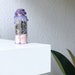 Peace Spell Jar Kit - Etsy