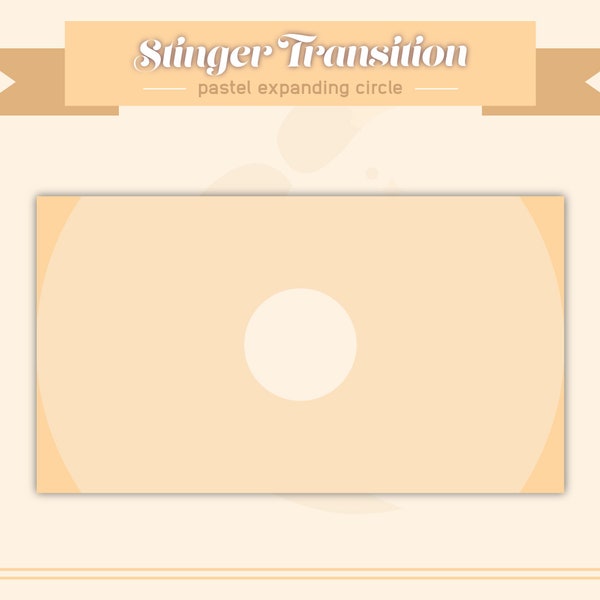 Stinger Transition - Etsy