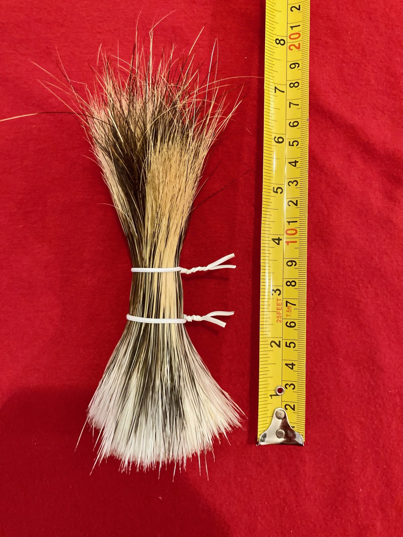 American Porcupine Guard Hair, 47 Inches, 1 Ounce, Great for Roaches ...