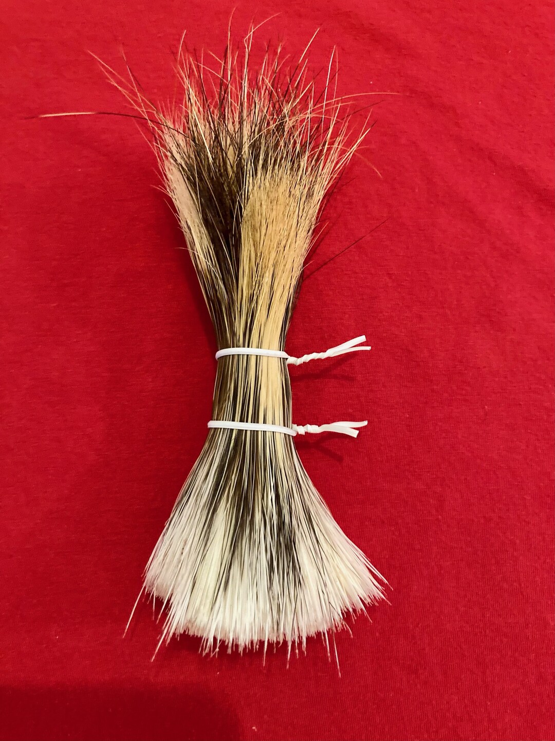 American Porcupine Guard Hair, 47 Inches, 1 Ounce, Great for Roaches ...