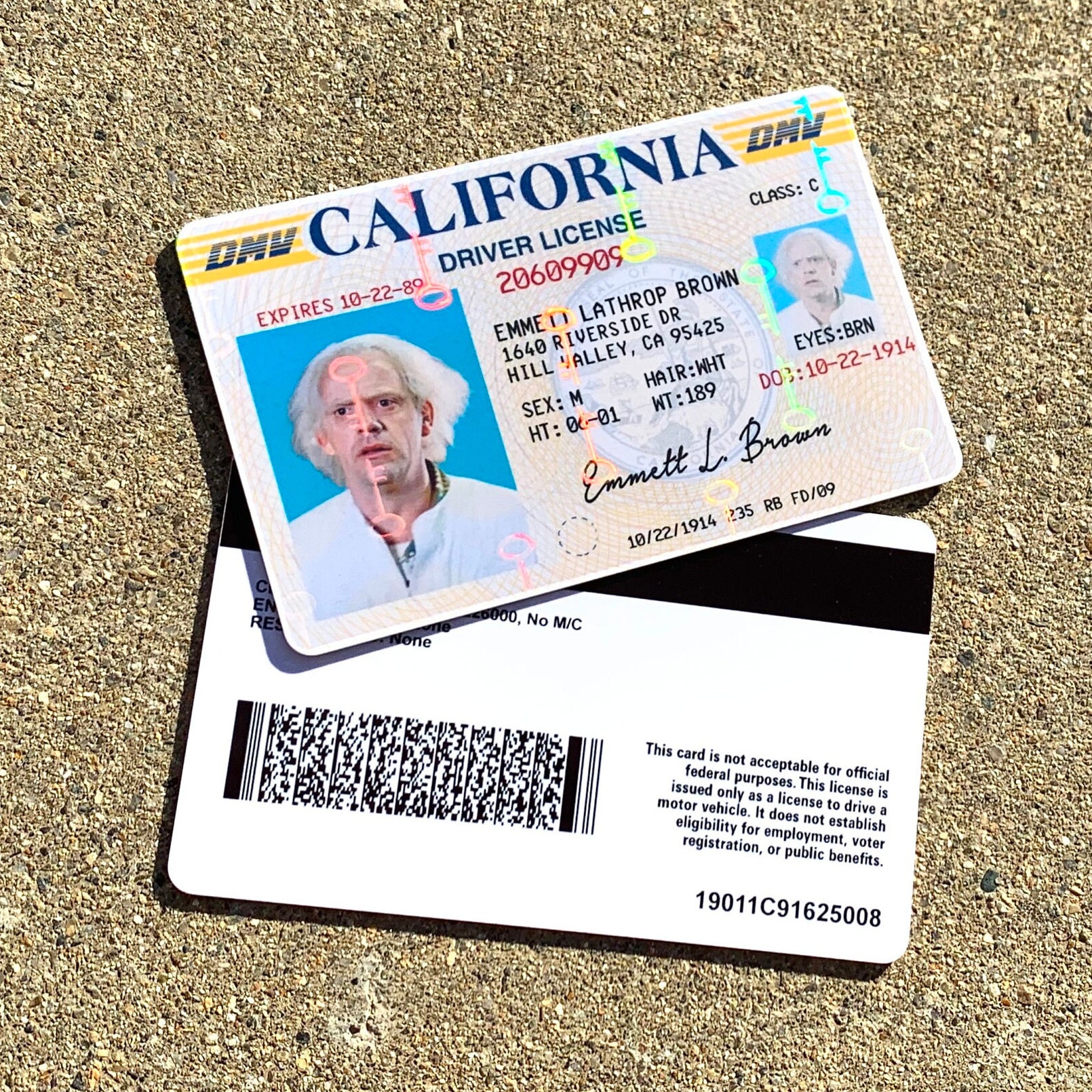 Marty Mcfly ID CARD Back to the Future Michael J Fox - Etsy Canada