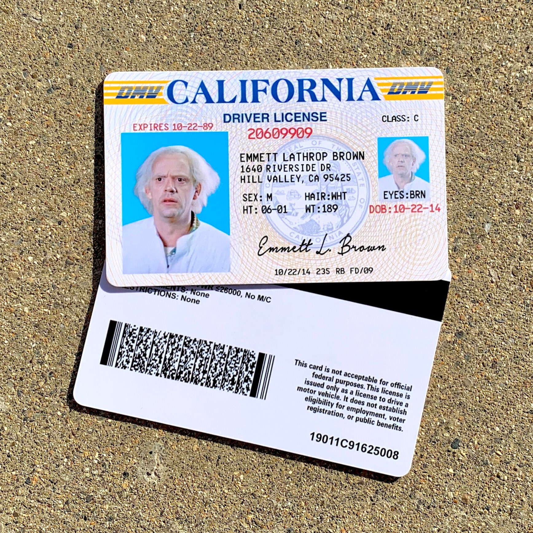 Marty Mcfly ID CARD Back to the Future Michael J Fox - Etsy Canada