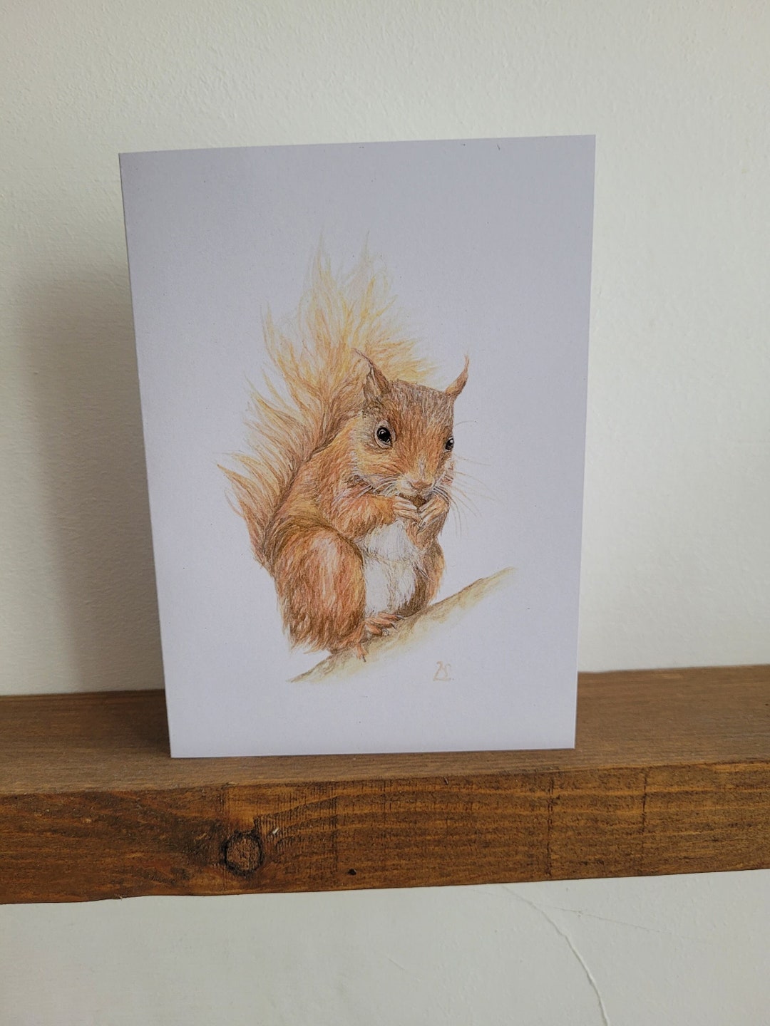 Red Squirrel Greetings Card, Squirrel Card, Birthday Card, Card for ...