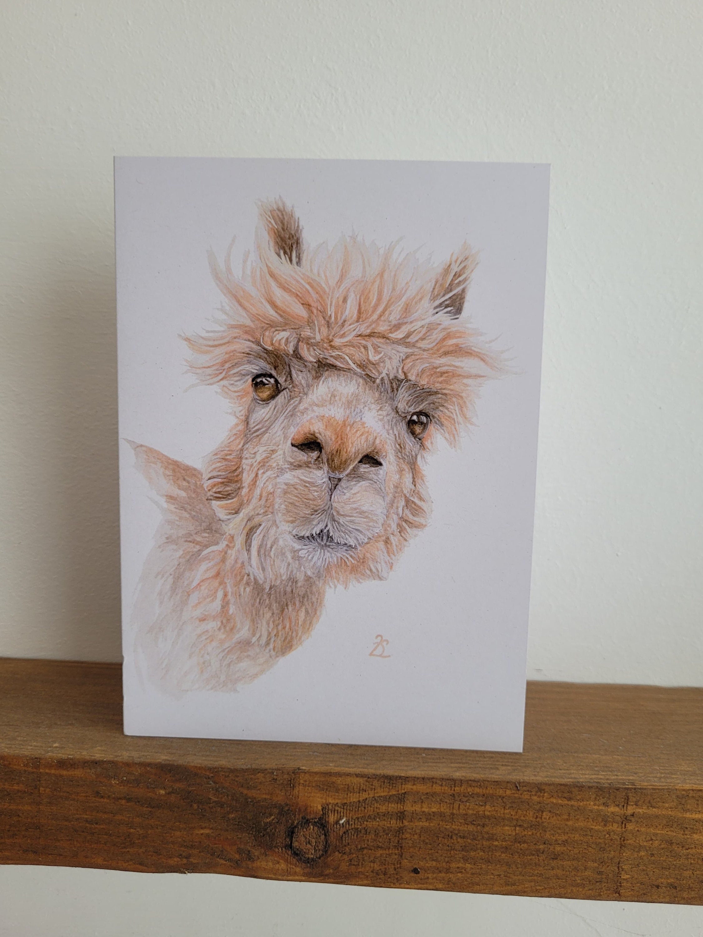 Alpaca Card, Alpaca Birthday Card, Card for Alpaca Lovers, Alpaca Gift ...