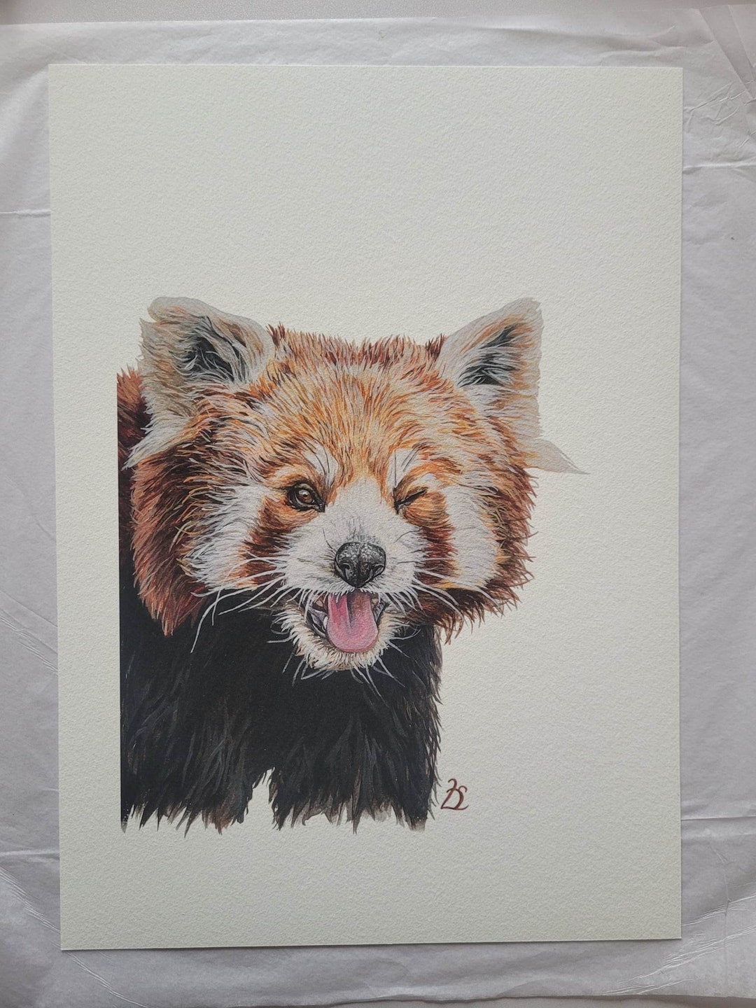 Red Panda Unmounted Print 8x12inch Gift for Red Panda Fans - Etsy Australia