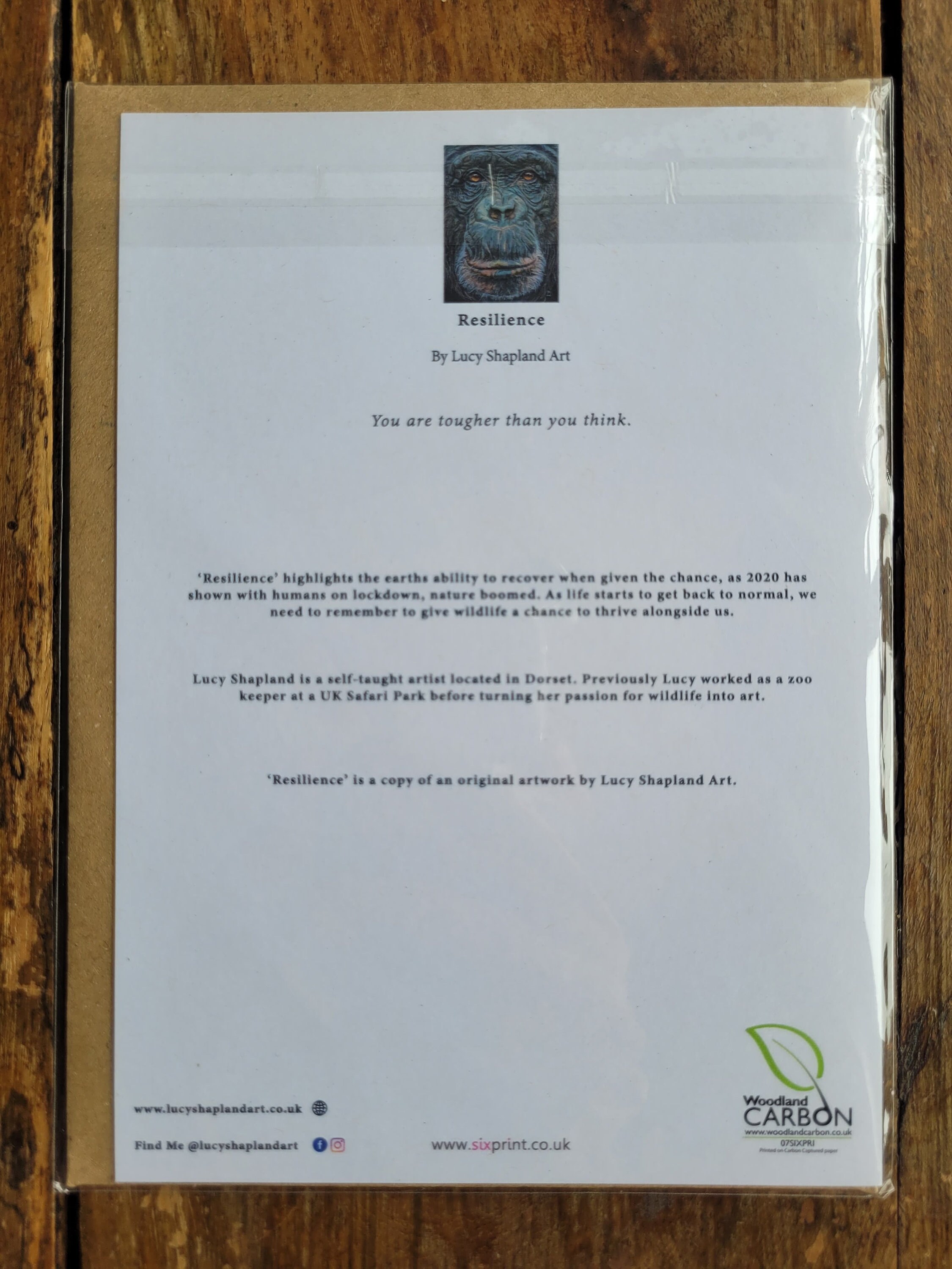 Chimpanzee Greetings Card, Chimp Card, Monkey Card, Blank Greetings ...