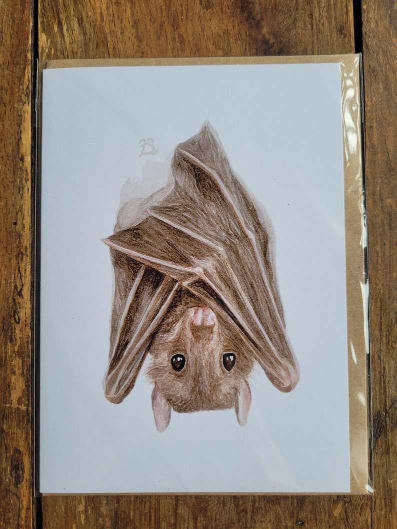 Bat Card, Bat Birthday Card, Halloween Card, Spooky Card, Card for Bat ...