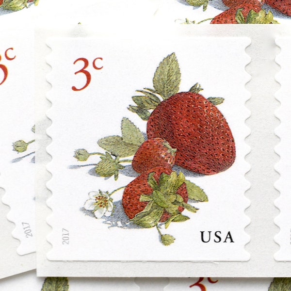 Strawberry Stamp - Etsy