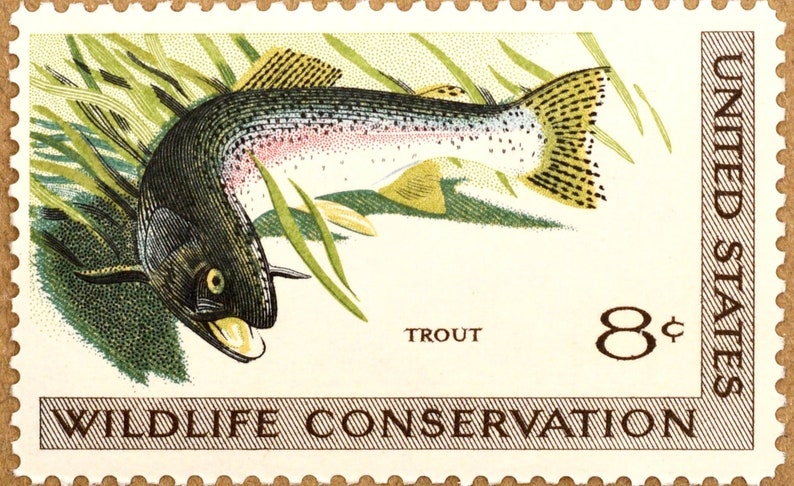 8 Vintage Trout Stamps Wildlife Conservation Unused | Etsy