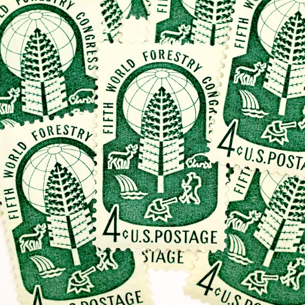 Forest Stamp - Etsy