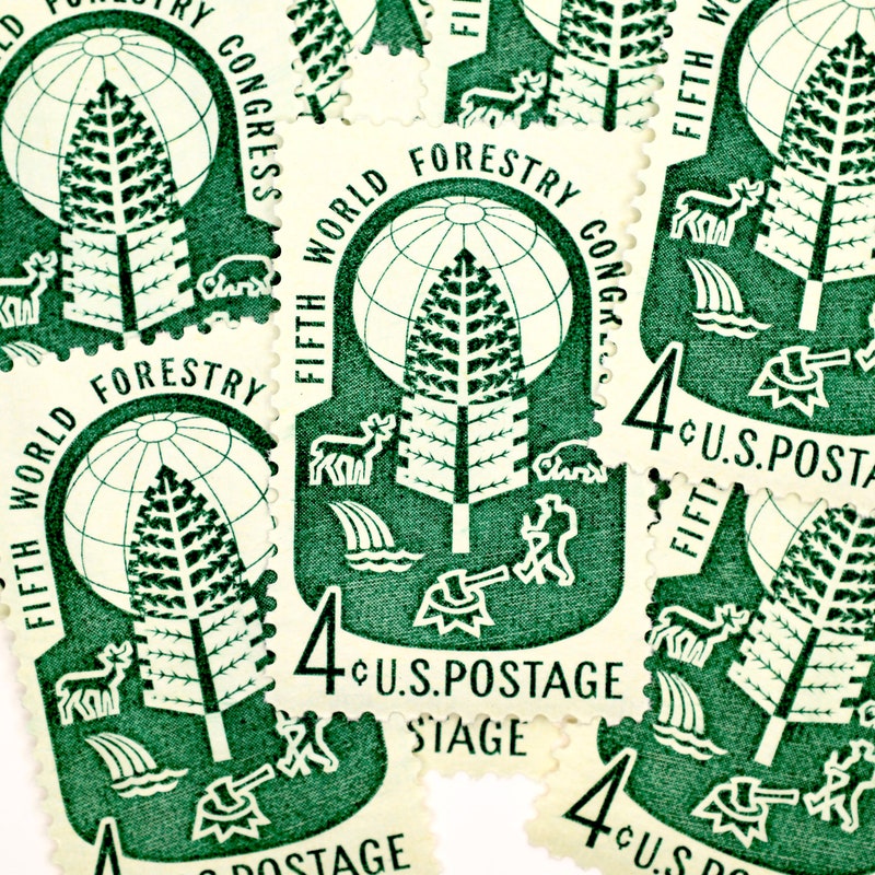 Forest Stamp - Etsy