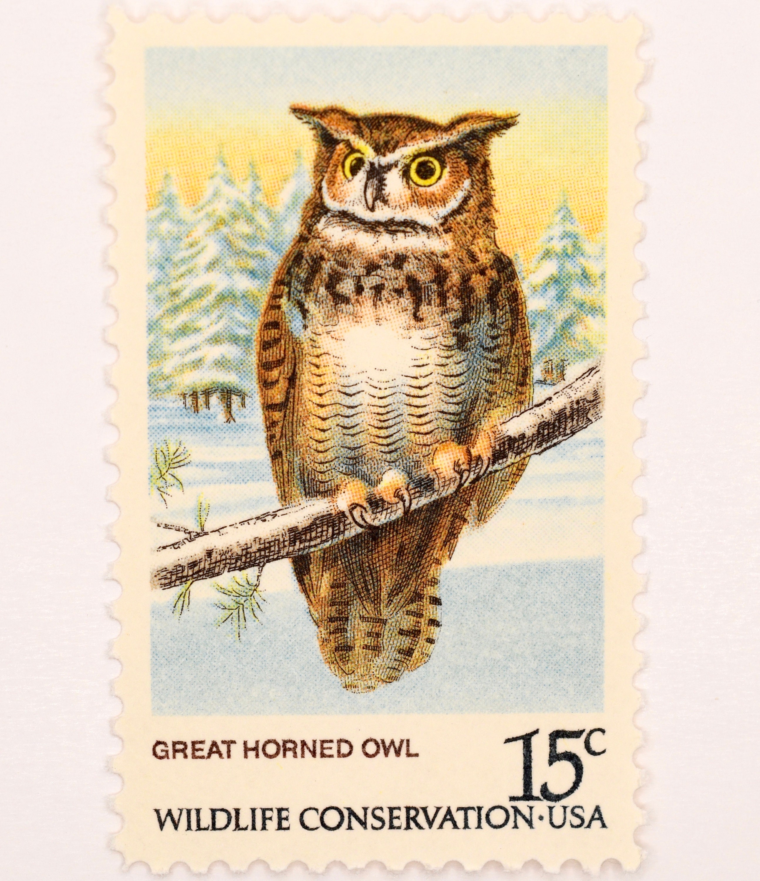 8 Vintage Owl Stamps Unused Postage USA Wildlife | Etsy