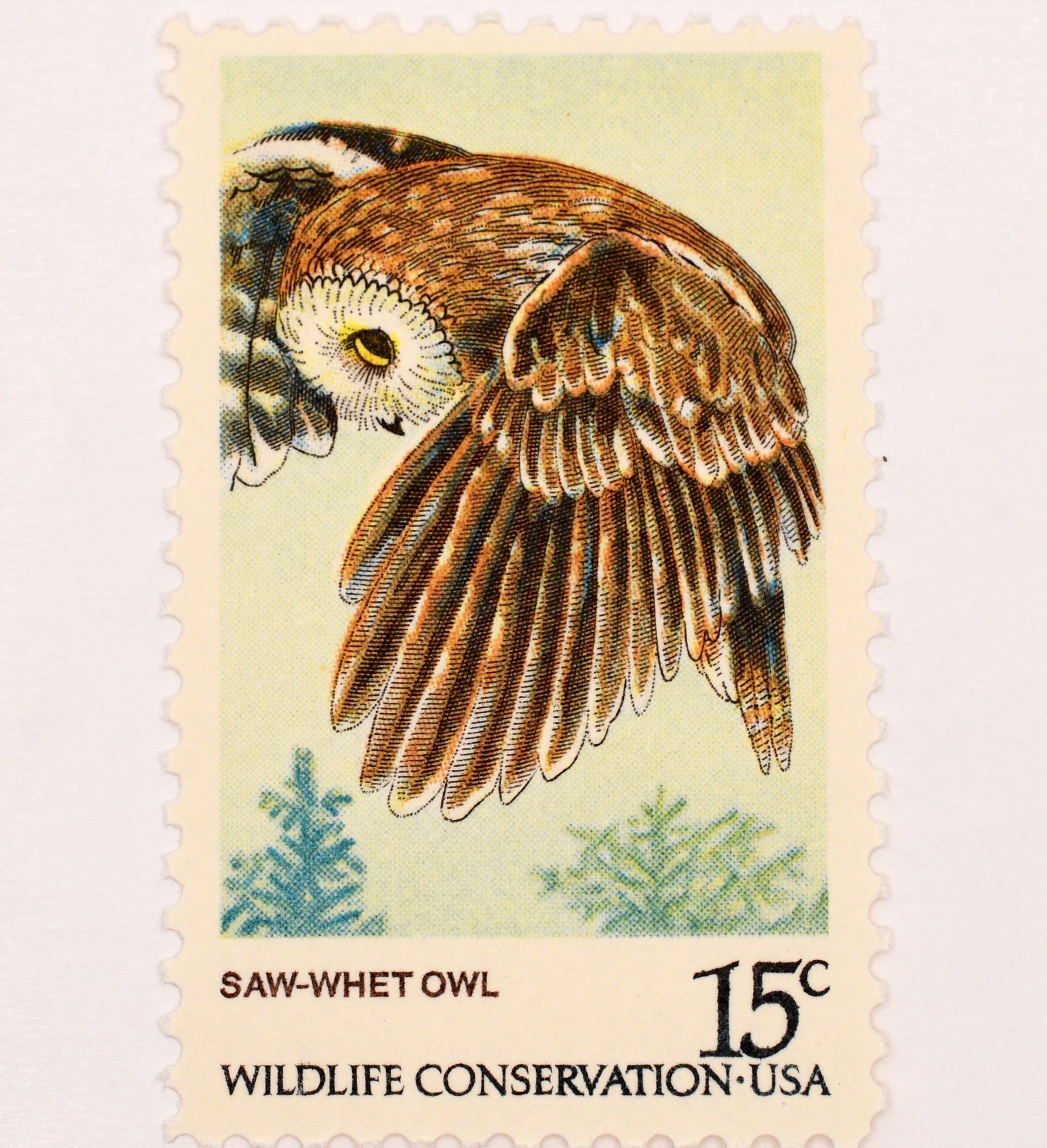 8 Vintage Owl Stamps Unused Postage USA Wildlife | Etsy