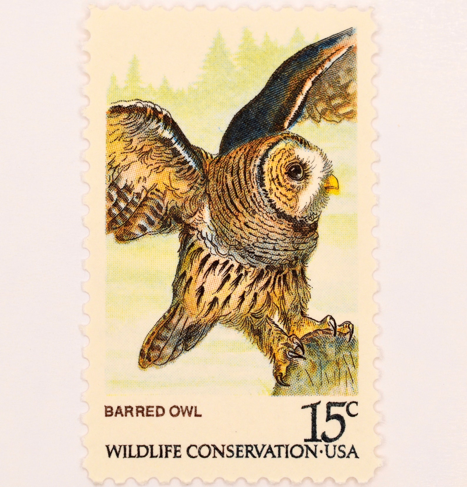 8 Vintage Owl Stamps Unused Postage USA Wildlife | Etsy