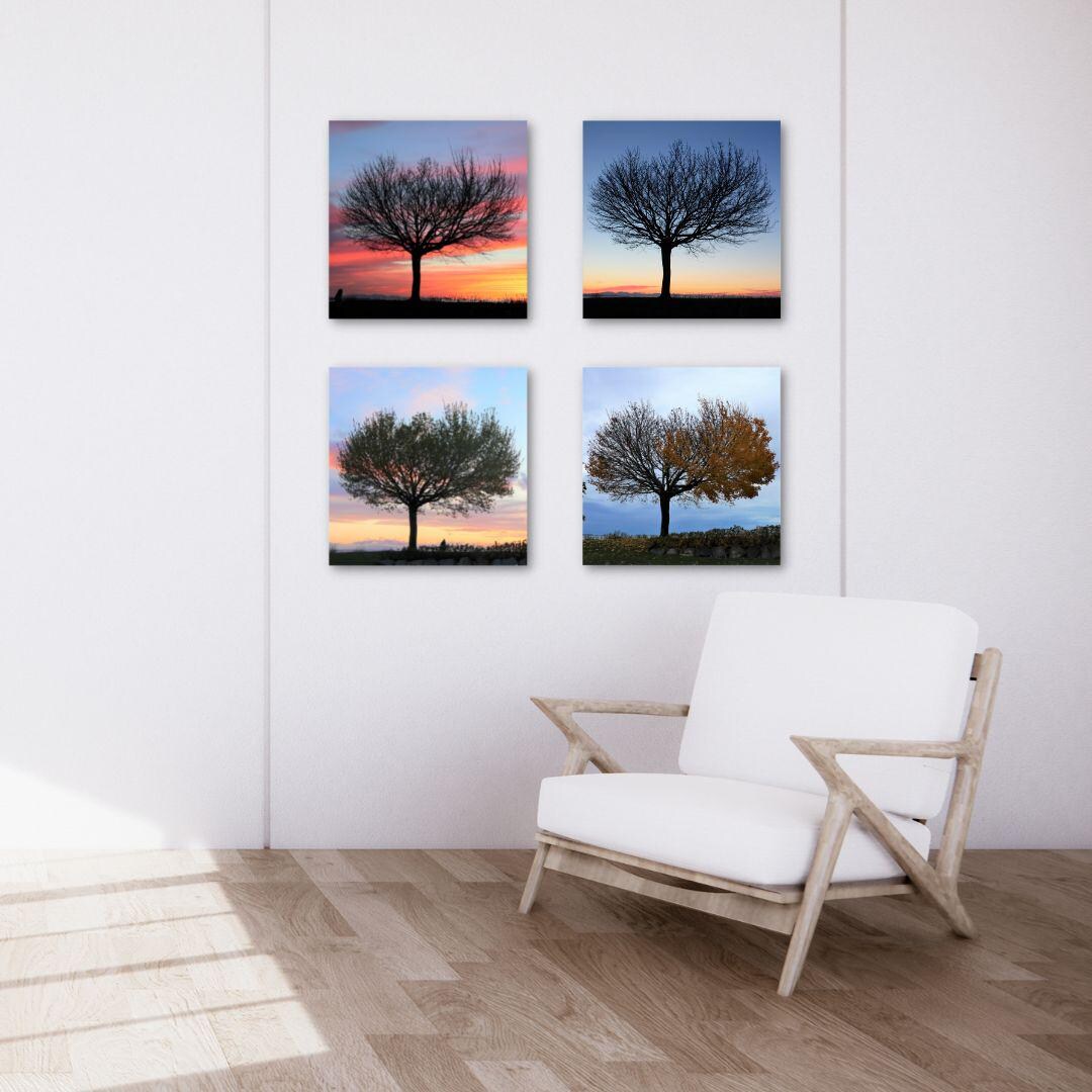 Seasons in Nature - Set of Four Tree Pictures as Downloadable/printable ...