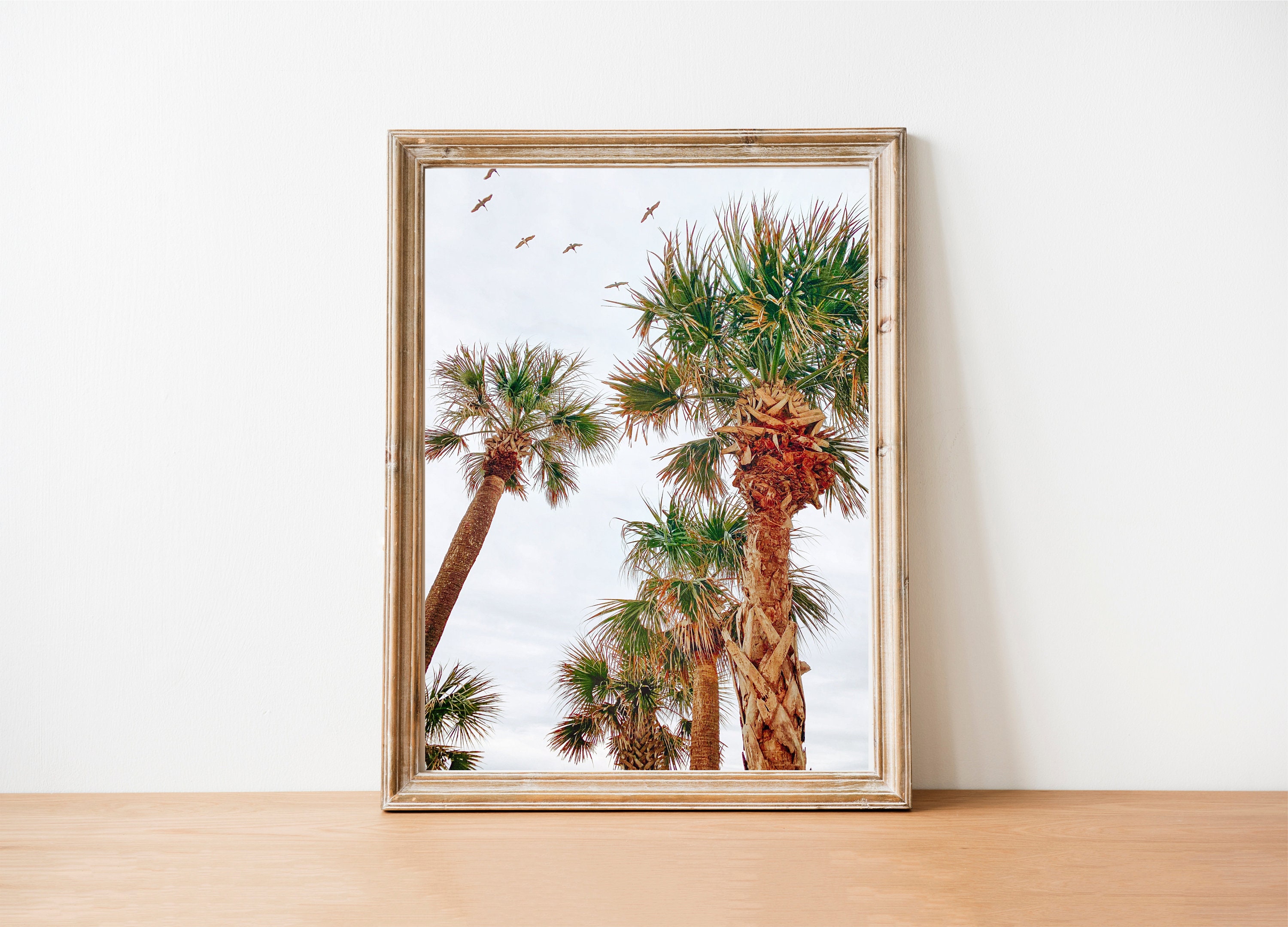 Palm Trees Photo Palm Trees Print Digital Download Beach | Etsy