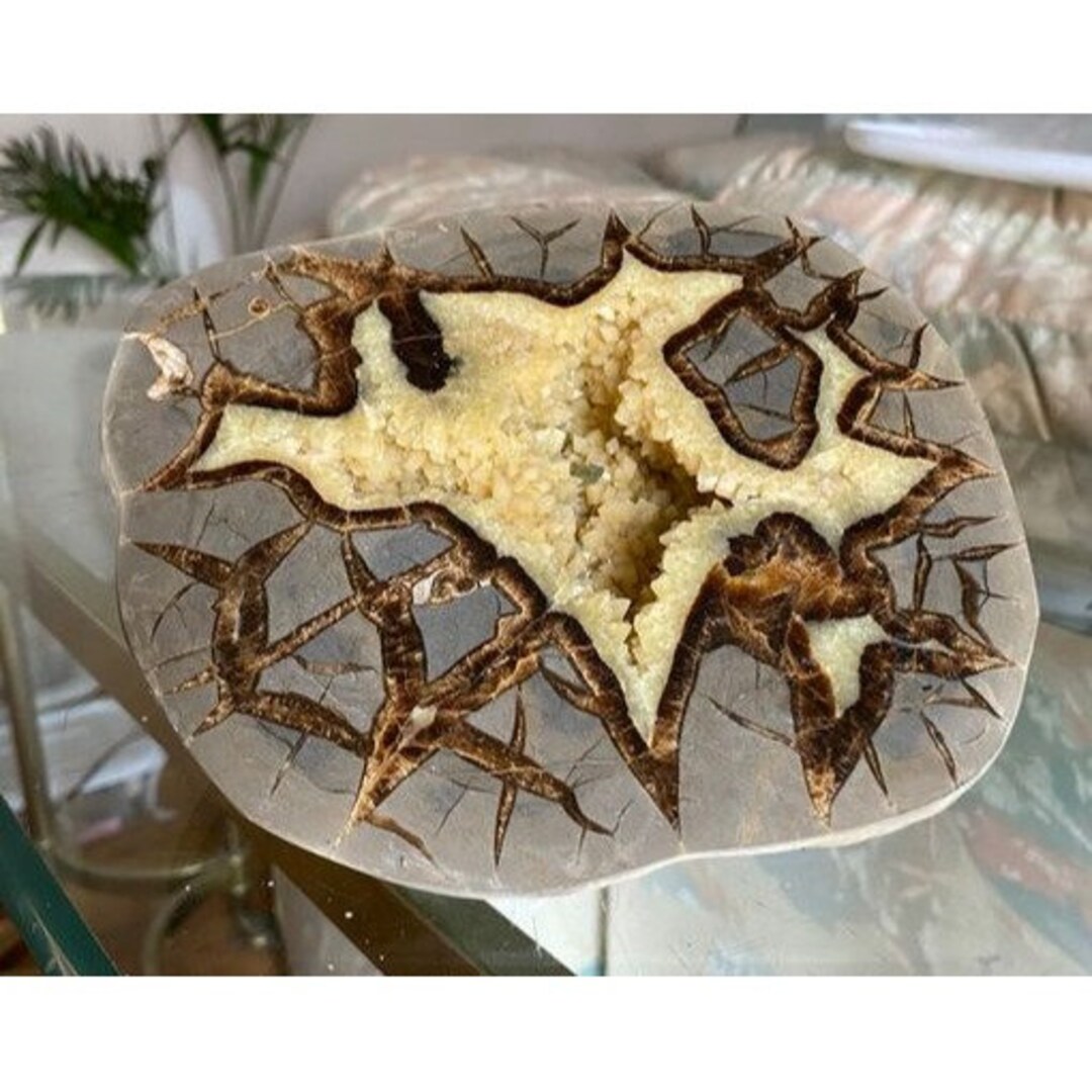 Septarian Nodule Geode Rare Raw Specimen 7 X 6 317 - Etsy