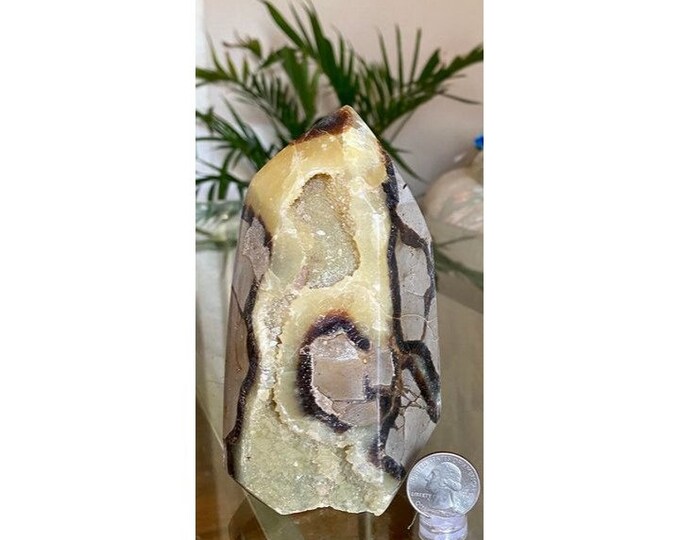 Septarian Nodule Crystal Calcite Tower W/druzy Caves 3.1" X 5.4" #M143 ...