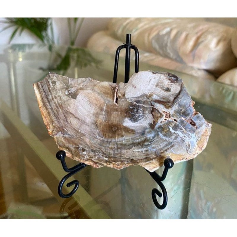 Petrified Wood Slab Stand - Etsy
