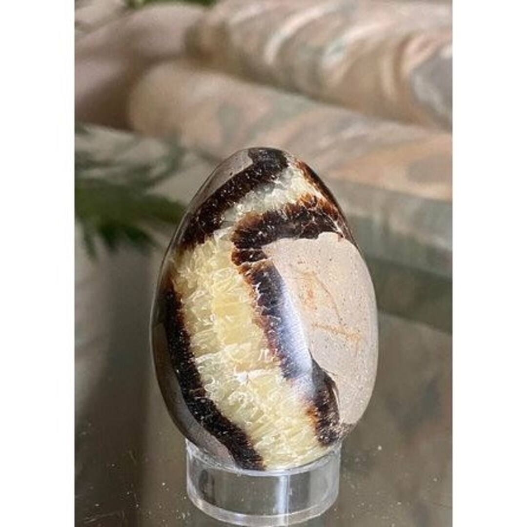 Septarian Nodule Carved Egg W/stand 1.8 X 2.5 M97 Sale - Etsy