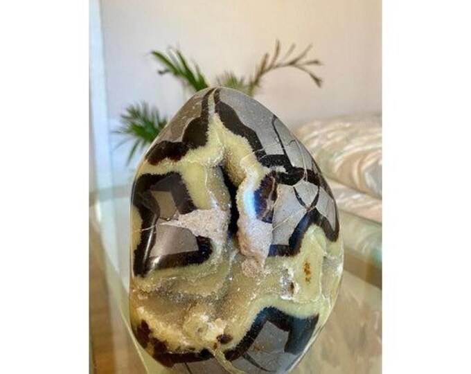 Awesome Septarian Nodule Raw Specimen W/druzy 4.5" X 6.2" #655 - Etsy