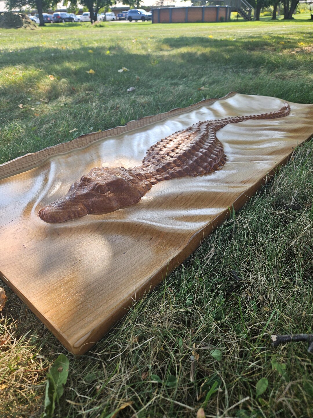 Beautiful Live Edge Cherry Wood Crocodile/alligator Swimming. Made From ...