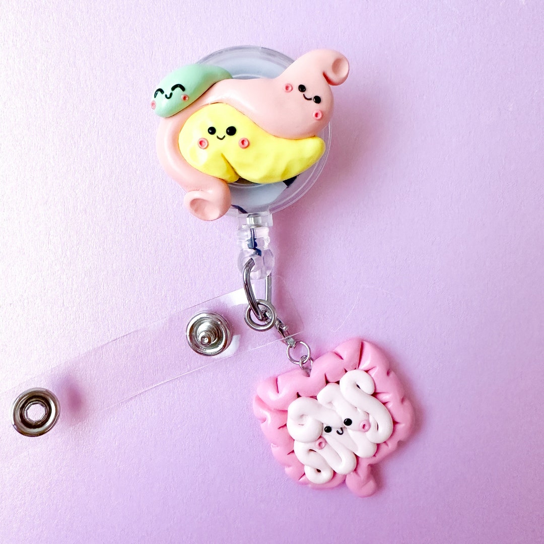 Gastroenterology Badge Reel, Pancreas Badge, Stomach Badge, GI Anatomy ...