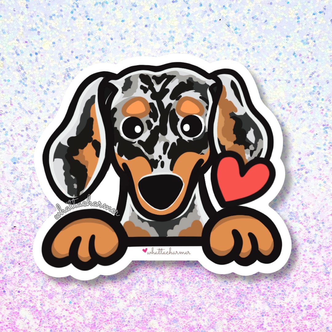 Smooth Silver Dapple Dachshund Dog Sticker, Doxie Dog Vinyl Decal ...
