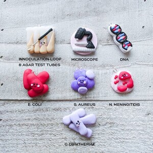Phlebotomy Charm, MLT Charm, Medical Lab Technician Charm, Lab Tech ...