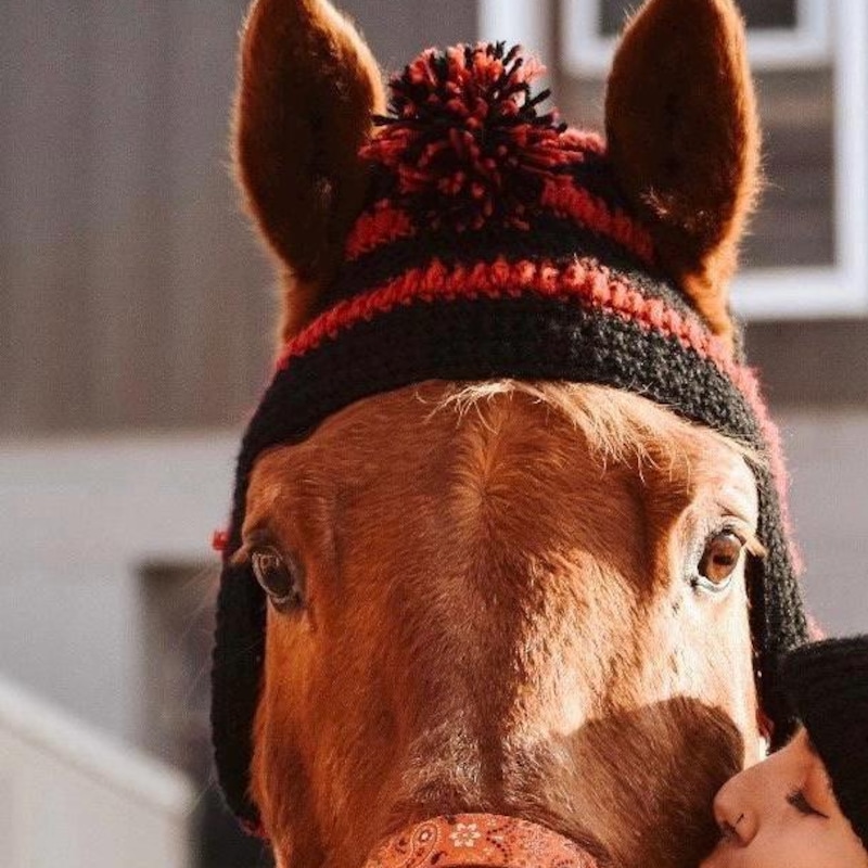 Horse Hat - Etsy