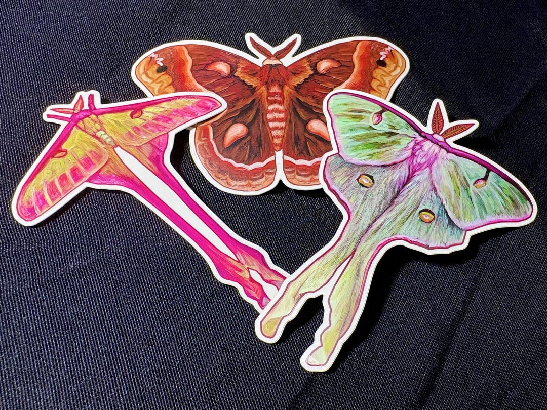 Set of 3 Vinyl Moth Stickers - Etsy