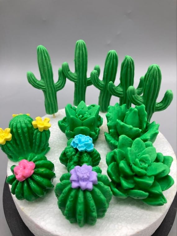 Cactus Fondant Cake