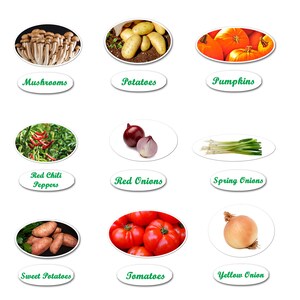 25 Printable Vegetable Stickers and Labels Veggie Stickers Planner ...