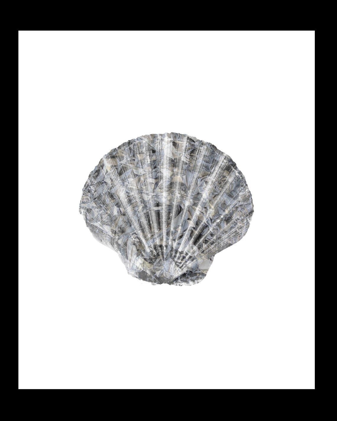 Printable Black and Gold Seashell Wall Art Room Decor Commercial and ...