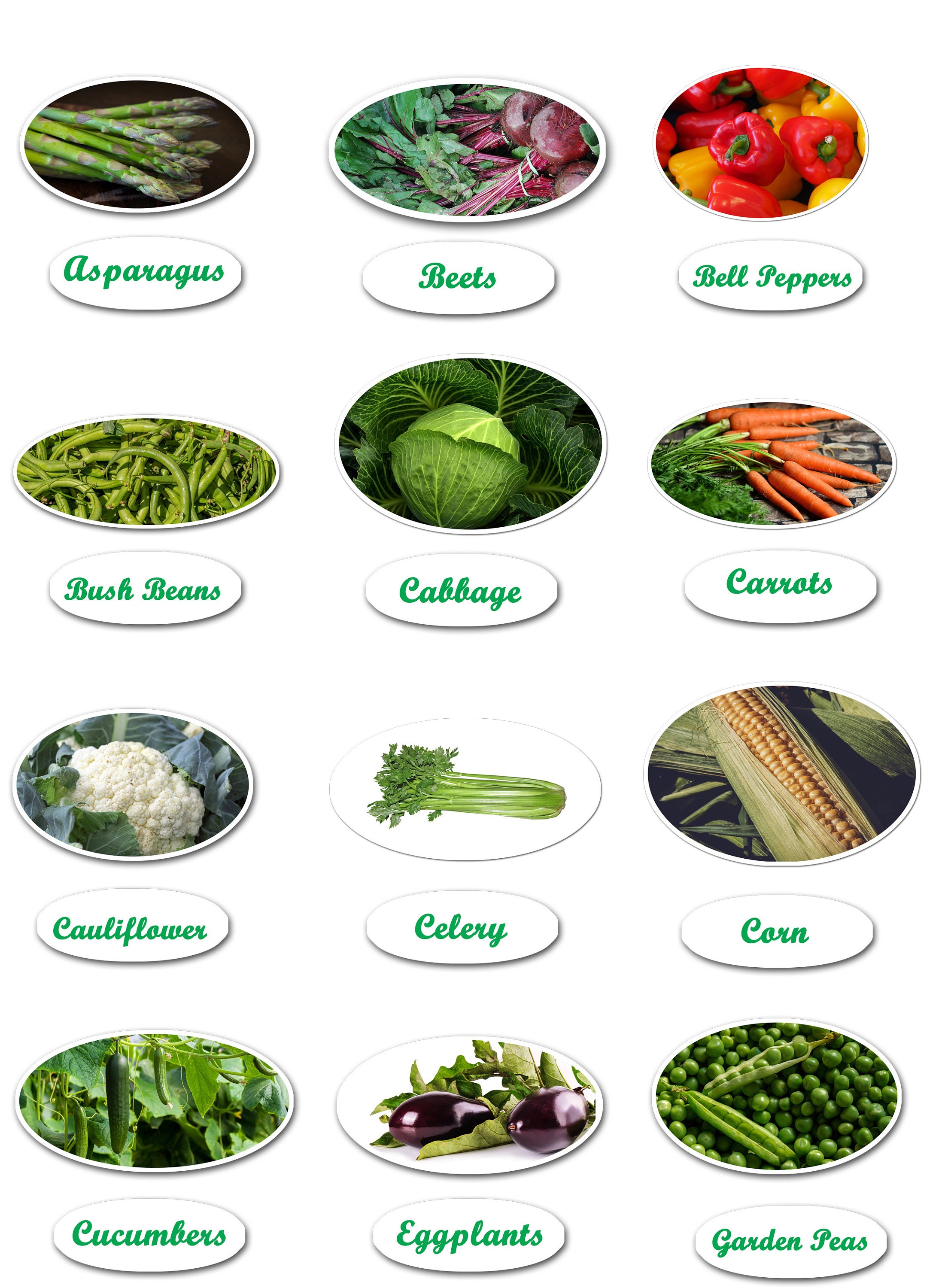 25 Printable Vegetable Stickers and Labels Veggie Stickers Planner ...