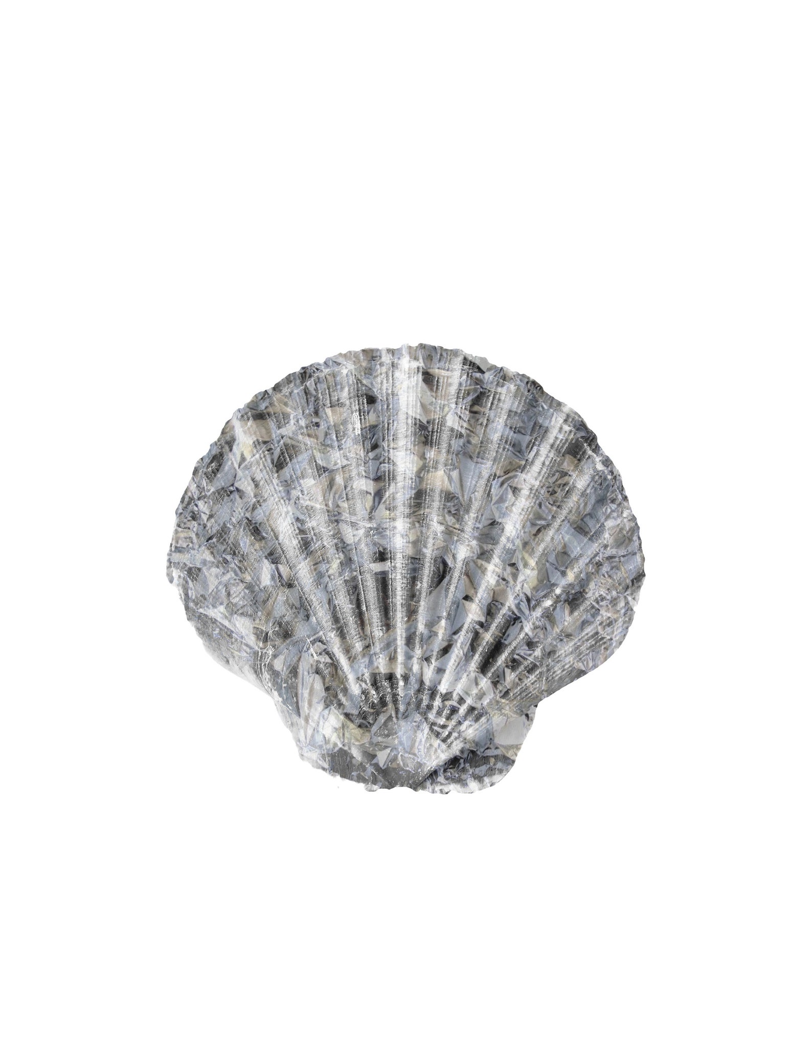 Printable Black and Gold Seashell Wall Art Room Decor Commercial and ...