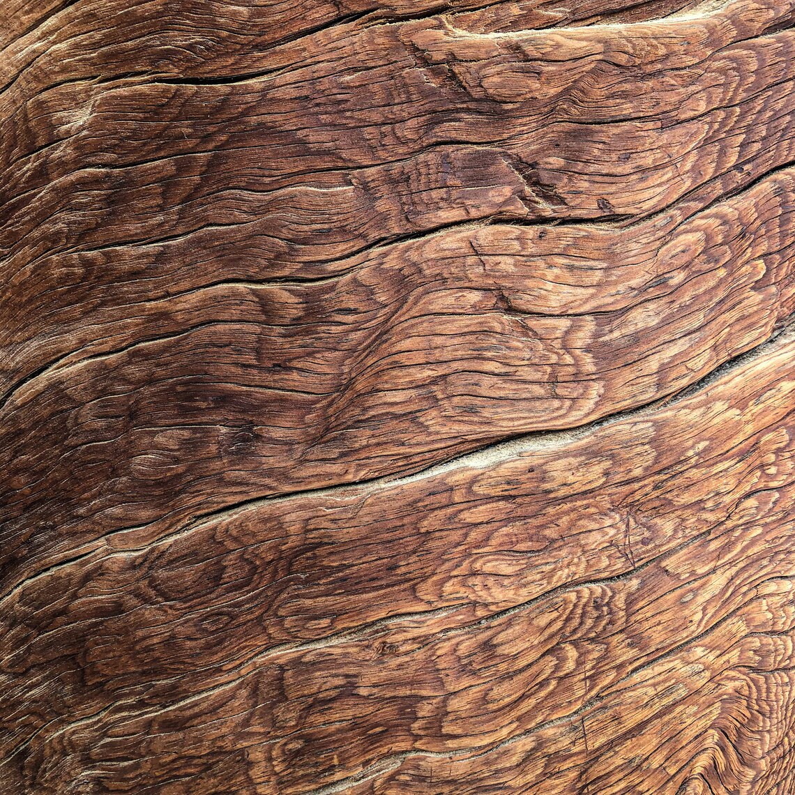 Bundle of 12 Woodgrain Design Digital Papers 12x 12 300 Dpi JPG / JPEG ...