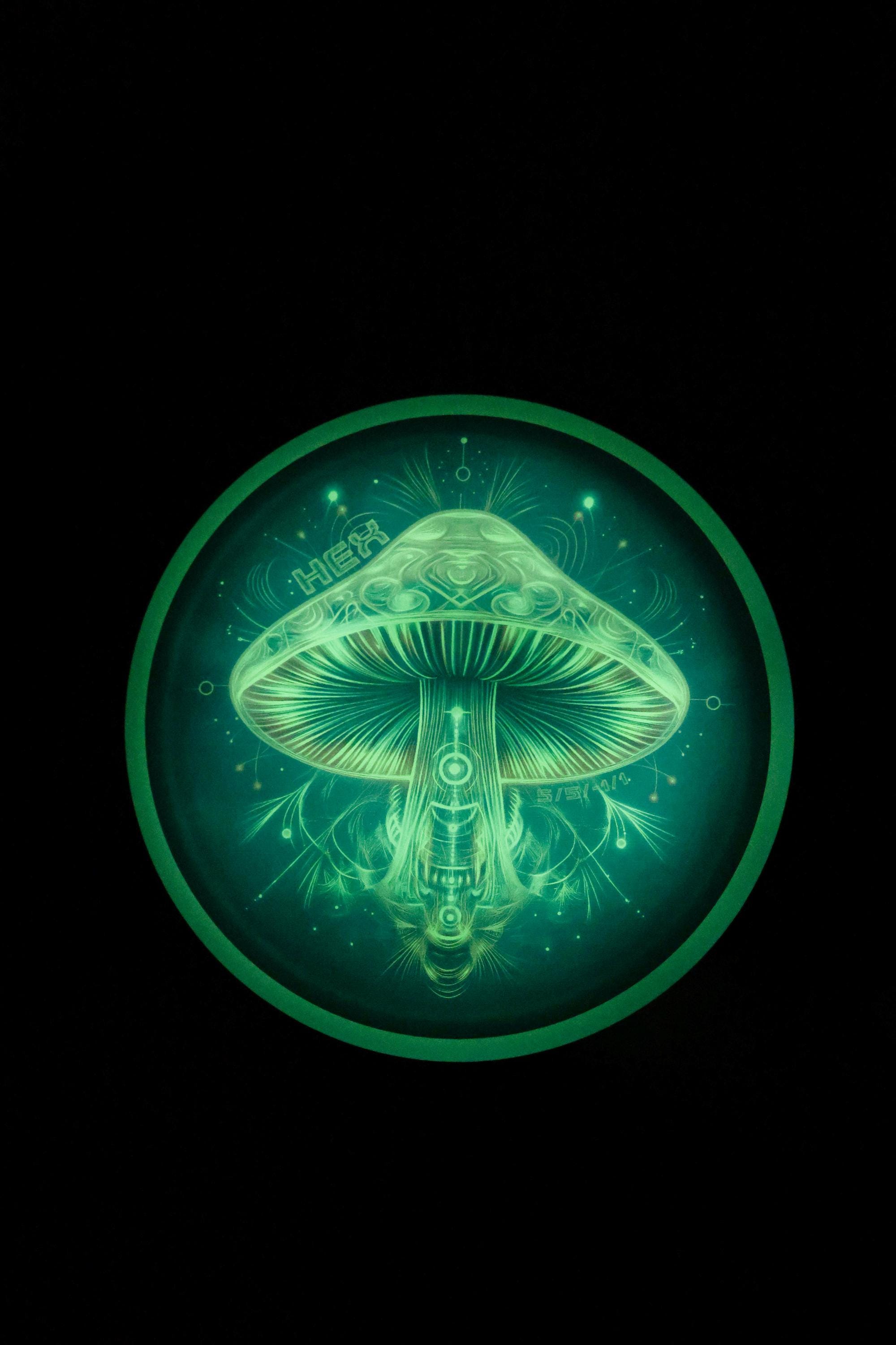 Fully Custom Glow in the Dark Disc Golf Disc - Etsy